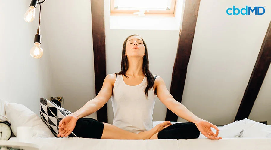 7 Tips (And a Bonus!) to Help Your Calm and Focus | cbdMD