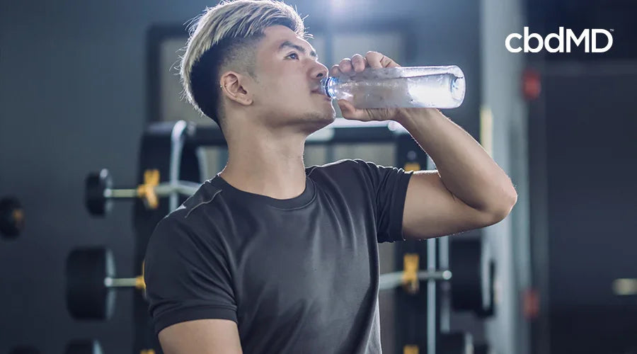 Tips for a Great Post Workout Recovery Routine | cbdMD