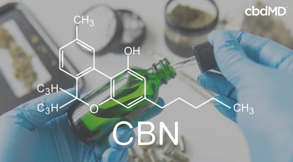 CBN: Benefits, Effects, and Comparison to CBD & THC | cbdMD