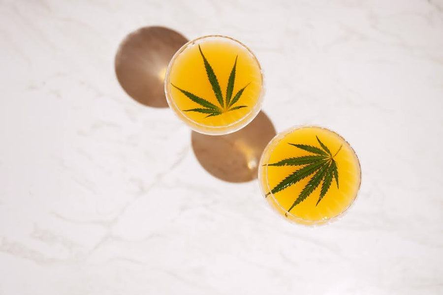 THC Drinks vs CBD Drinks | cbdMD