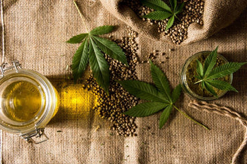 What is Hemp? An In-Depth Guide | cbdMD