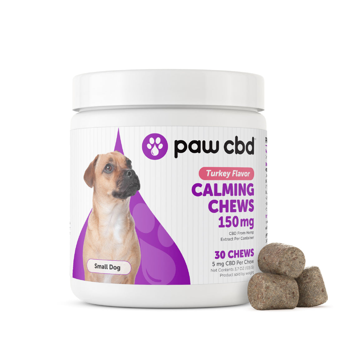 CBD Calming Chews for Dogs | cbdMD