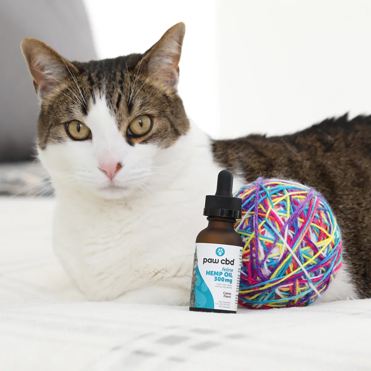 CBD Oil Tinctures & Drops for Cats | cbdMD