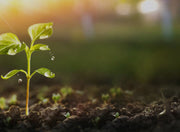 What is CBD? Learn About Cannabidiol | cbdMD